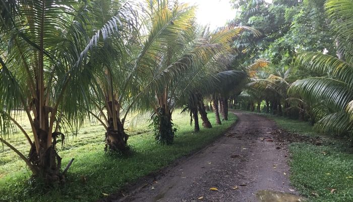 A Walk Up The Hill In Trujillo, Honduras - www.centralamerica.com