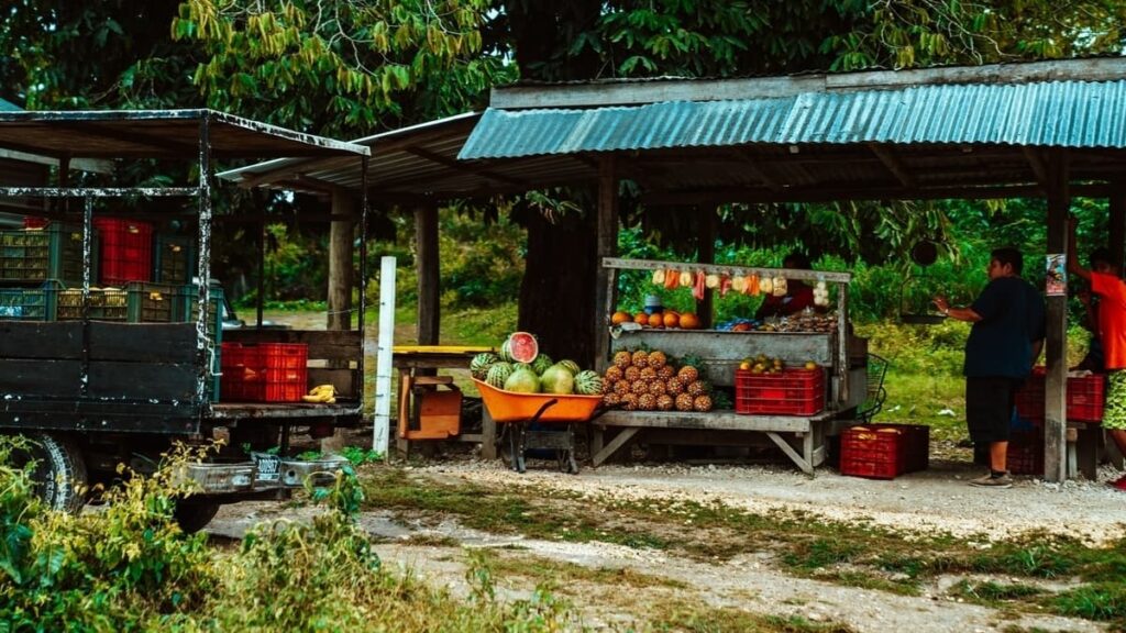 Belizean Kriol Guide | centralamerica.com