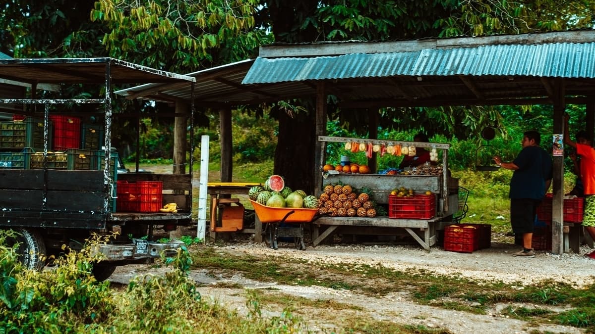 Highest Mountains in Central America | www.centralamerica.com