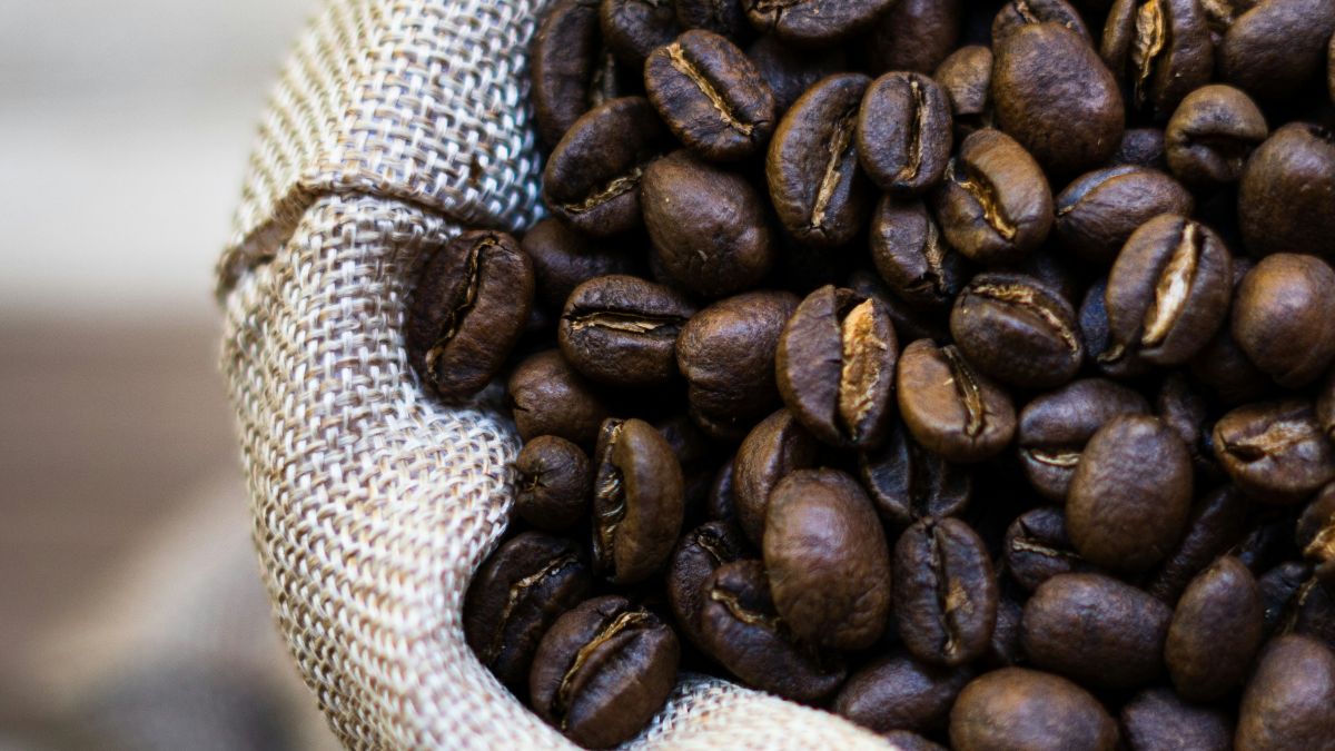 El Salvador President Launches Coffee Brand | centralamerica.com