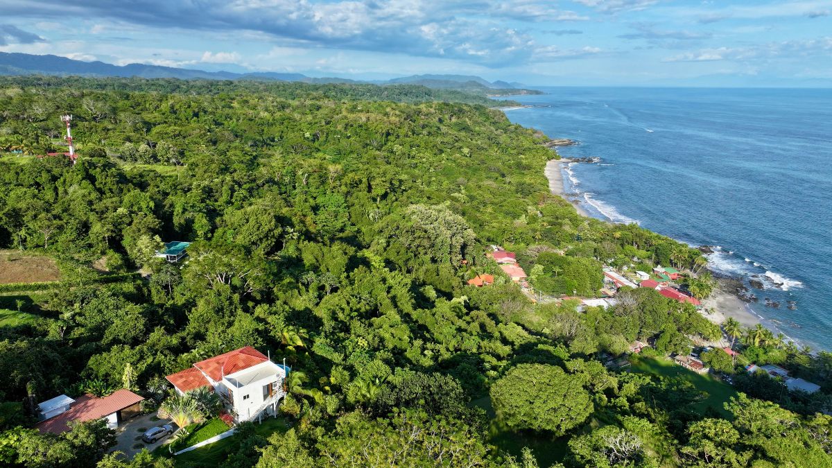 Costa Rica Tourism Numbers 2024 | centralamerica.com